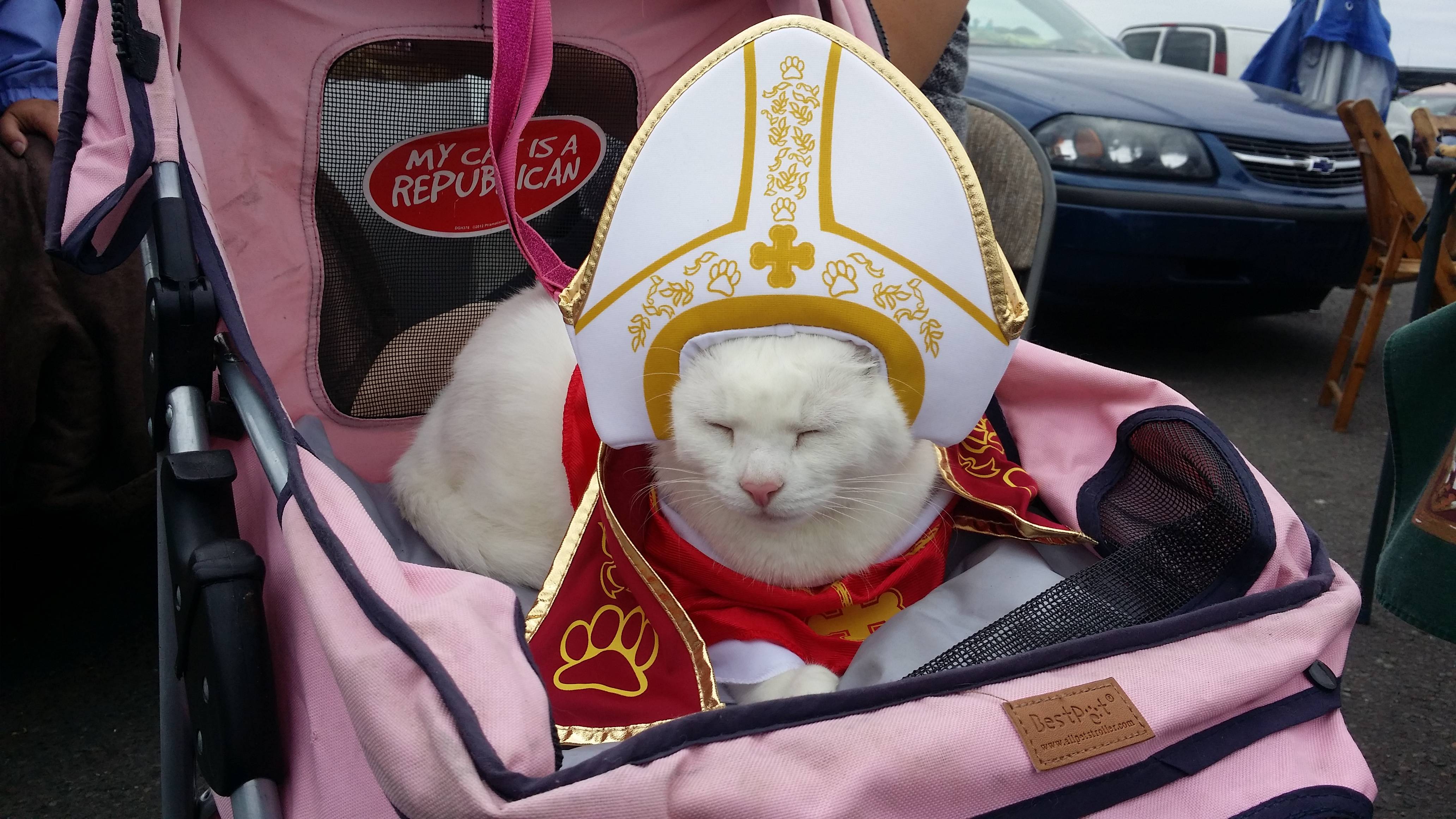 December 2016 – thisiswhatyoushalldo